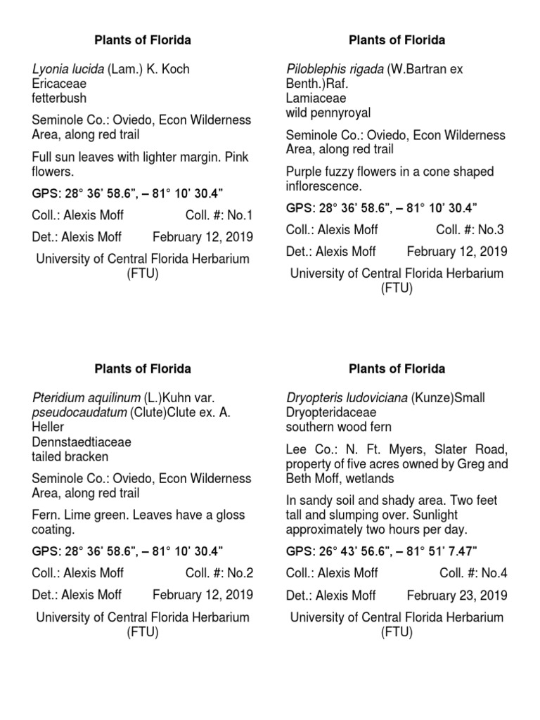 Botany Labels Final Final | Download Free PDF | Plants | Botany