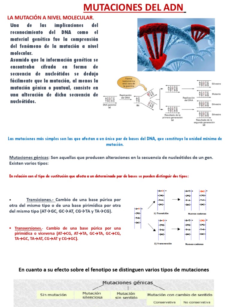 Mutaciones Del Dna | PDF | Mutación | Adn