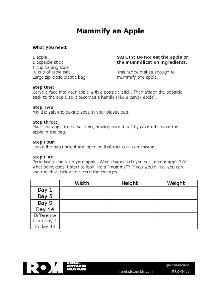 Rom Apple Mummy Activity | PDF | Mummy | Foods