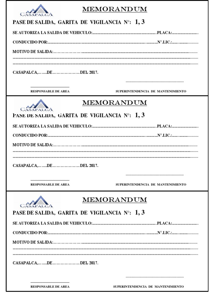 Formato Salida Vehiculos | PDF
