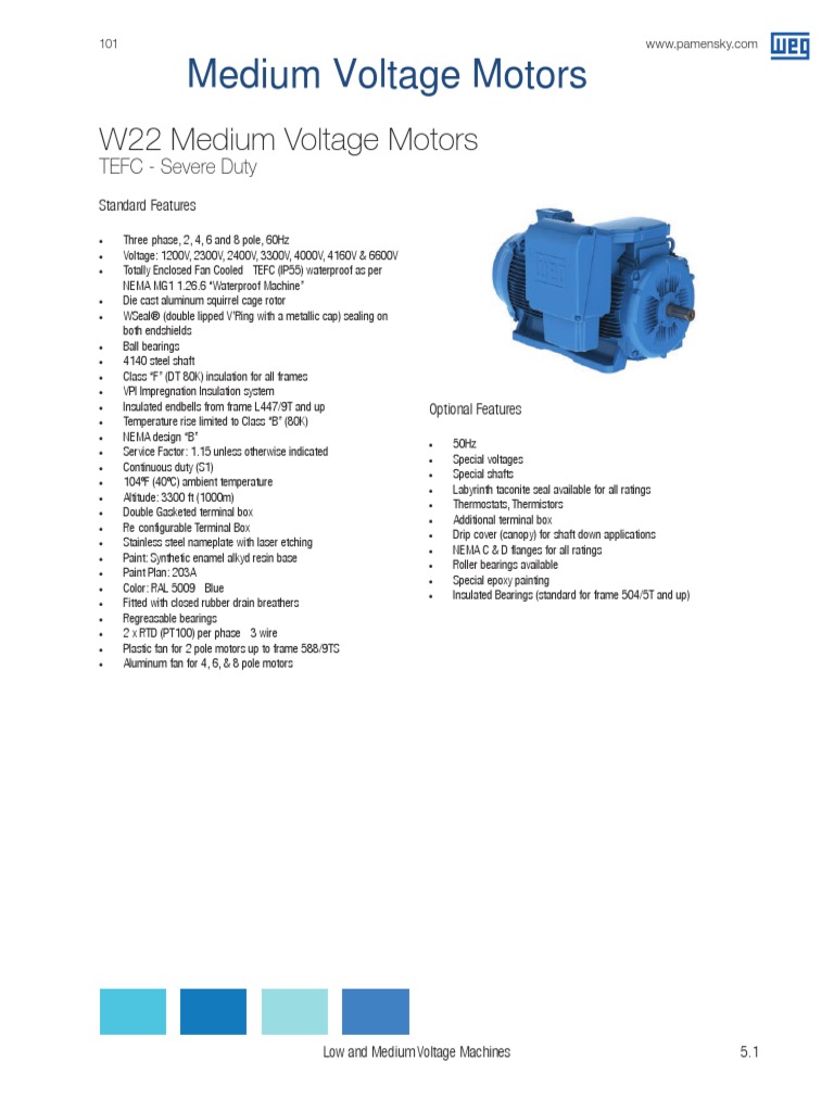 Medium Voltage Motors | PDF | Electric Motor | Manufactured Goods