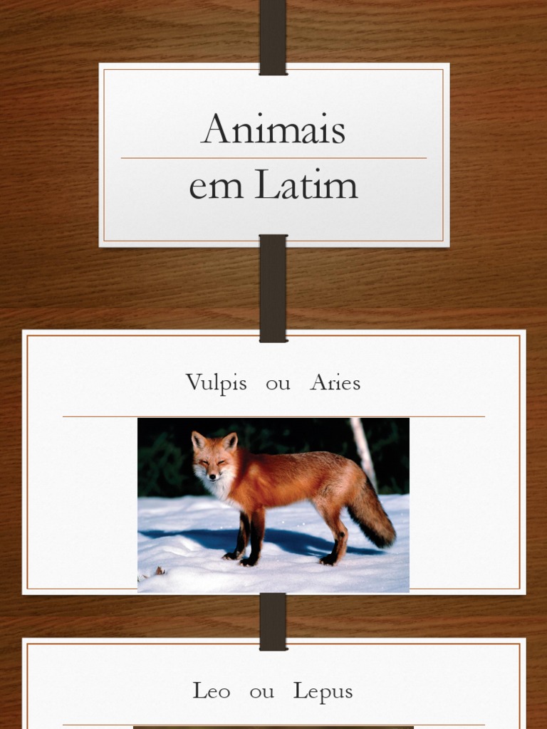 Animais em Latim | PDF