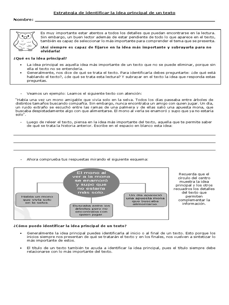 Estrategia de Identificar La Idea Principal de Un Texto | PDF
