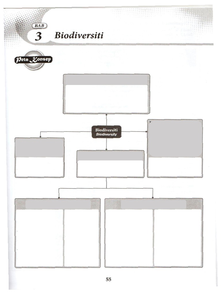 Bab 3 Biodiversiti Peta Minda Pdf