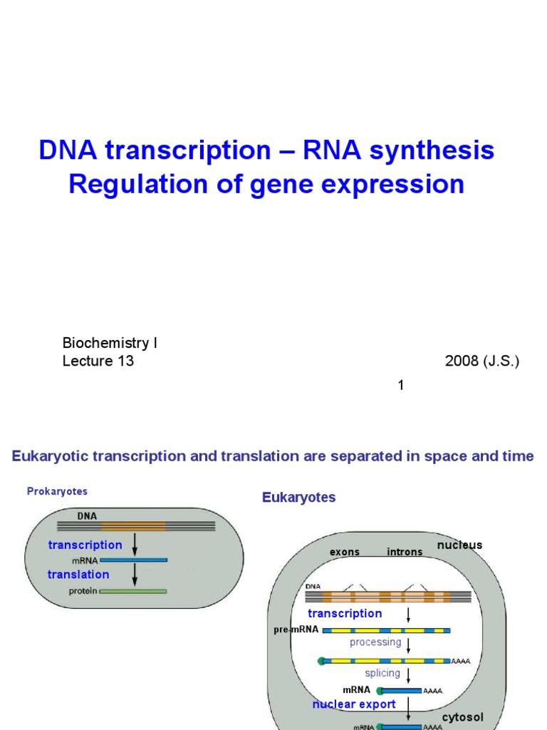 11 Chapter 5 | PDF | Operon | Rna