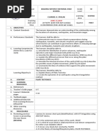 Grade 10 Science Lesson Plan | PDF | Plate Tectonics | Earthquakes