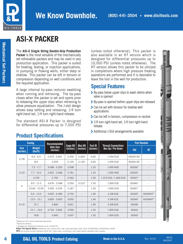 Asi X Packer 105243965 | PDF | Gases | Mechanical Engineering