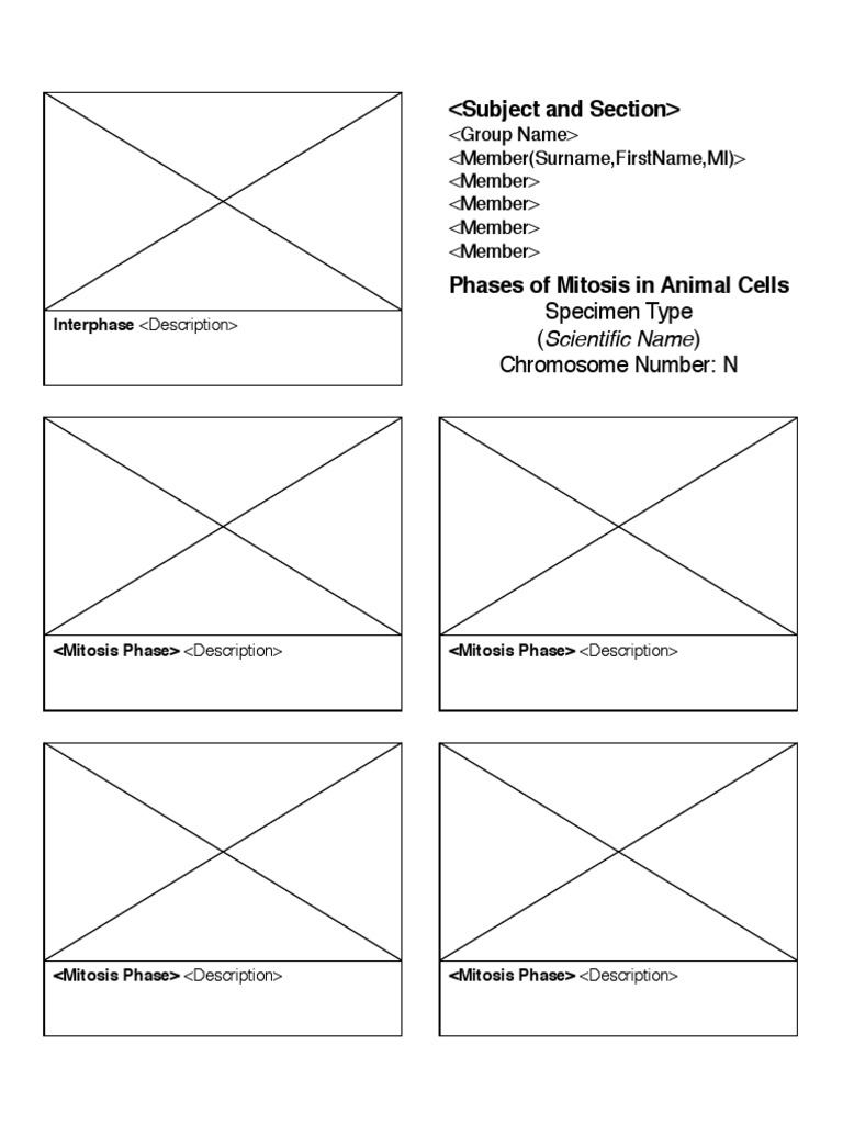 MITOSIS - The Somatic Cell Story | PDF | Mitosis | Organisms