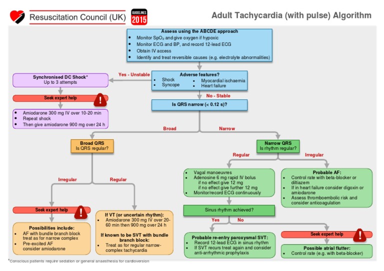 G2015 Adult Tachycardia PDF | PDF | Heart | Cardiovascular Diseases