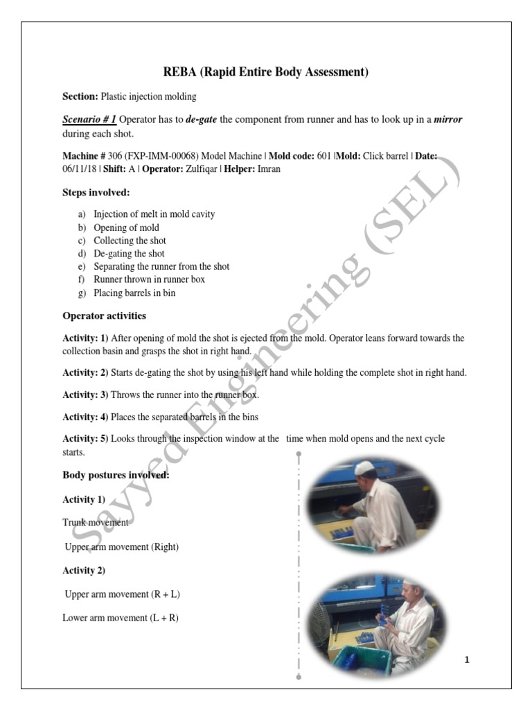 REBA Assessment | PDF | Nature