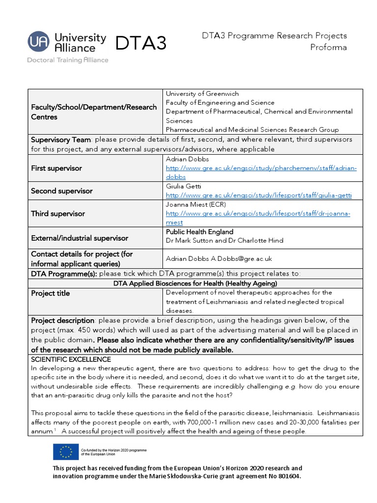 DTA3 Programme Research Projects Proforma: Dobbs Miest | PDF | Public ...