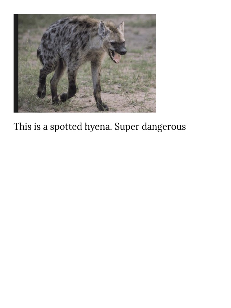 Aidan Coll - Copy of Feature Article Design Template | PDF