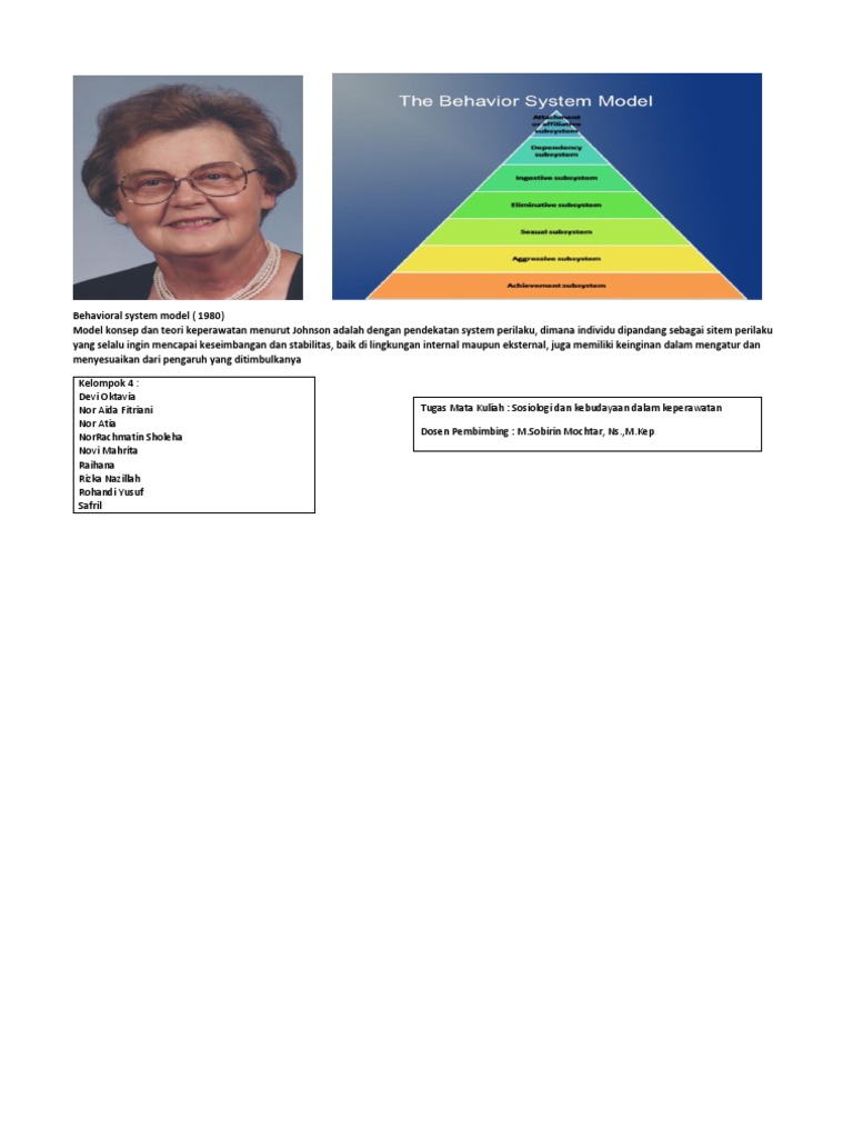 Johnson's Behavioral Systems Model | PDF