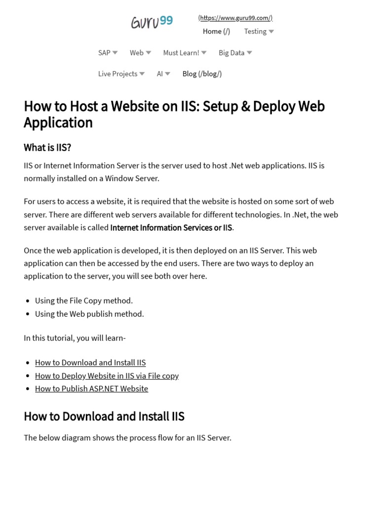 9 How To Host A Website On Iis Setup And Deploy Web Application Pdf Internet Information
