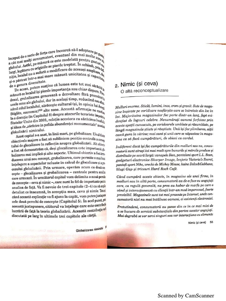 G Ritzer | PDF