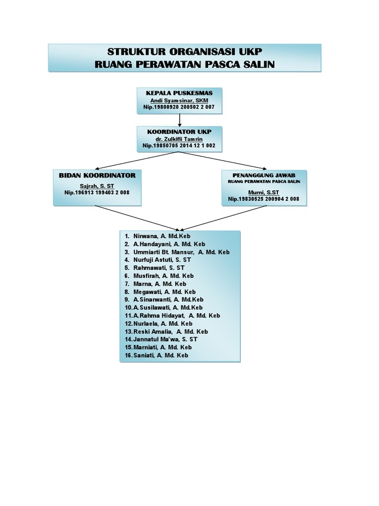 Struktur Organisasi Kamar Bersalin | PDF
