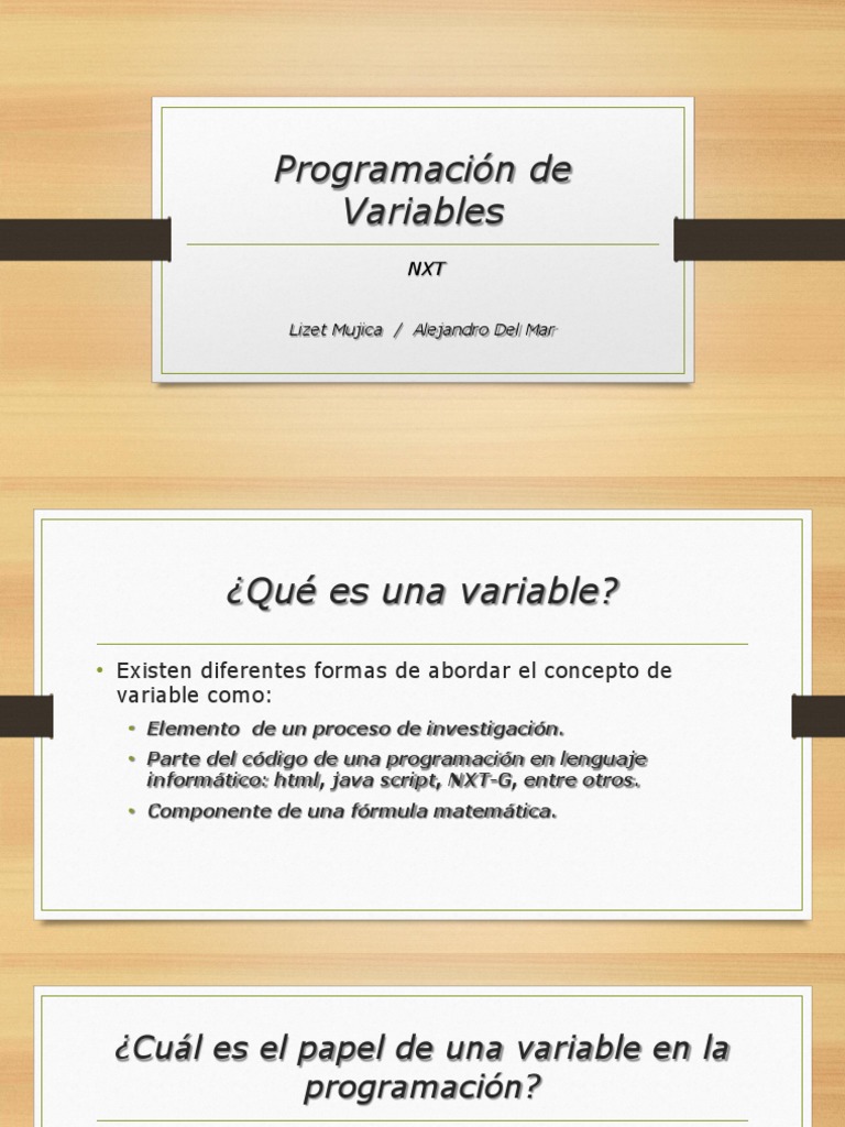 Programación de Variables | PDF | Variable (informática) | Lenguaje de programación