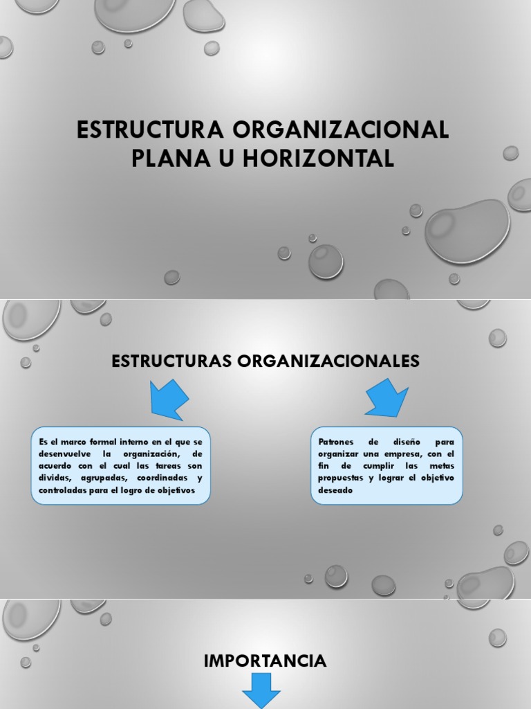 Estructura Organizacional Plana U Horizontal | PDF | Gestión de ...