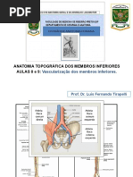 11 - Região Poplítea | PDF | Joelho | Anatomia humana