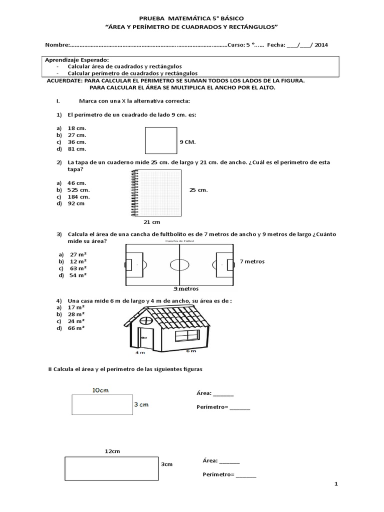 Ejercicios de Área y Perímetro 5° Básico | PDF | Enseñanza de matemática