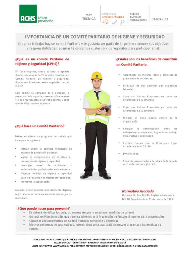 Funciones Comité Paritario | Descargar gratis PDF | Gobierno | Bienestar