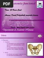 Prueba de Adams | PDF | La columna vertebral | Escoliosis