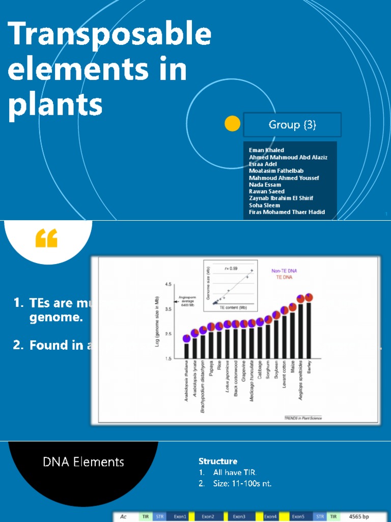 TEs in Plants | PDF | Wellness | Science & Mathematics