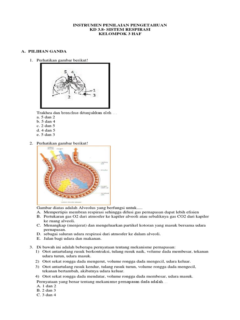 Instrumen Evaluasi (Soal Hots) KD 3.8 - Sistem Respirasi-Klp 3 Haf | PDF | Sains & Matematika ...