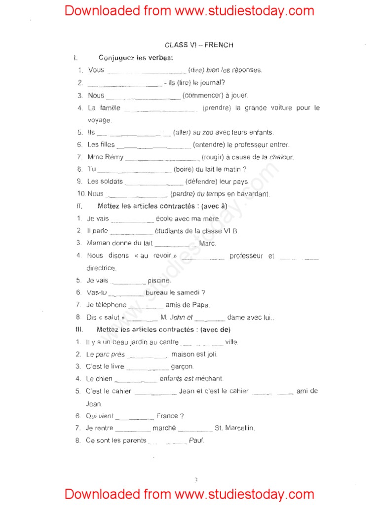 Revision Worksheet Class 6 French PDF | PDF