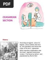 FIGO-Miso-Chart-11-2023 FINAL | PDF