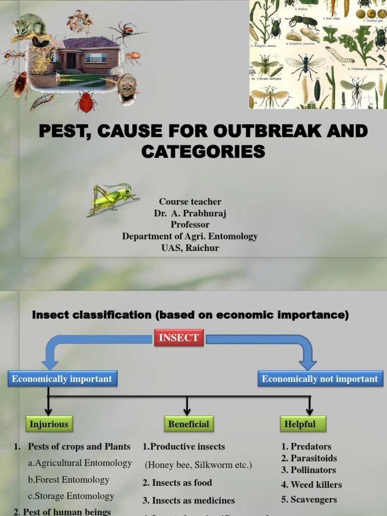 Week-1,02 Insect Classification Based on Economic Importance | Pest ...