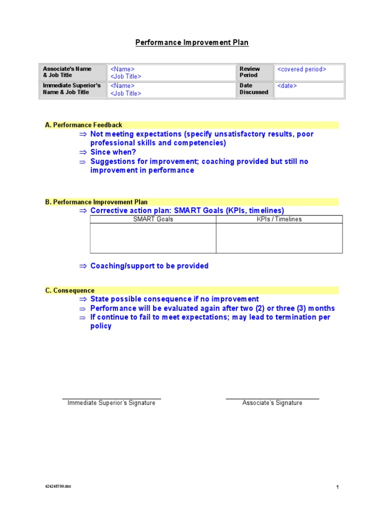 Performance Improvement Plan | PDF