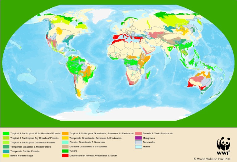 Ecoregions Map | PDF