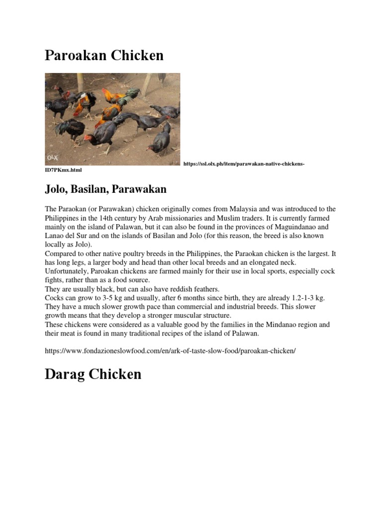 Paroakan Chicken | PDF | Chicken | Meat