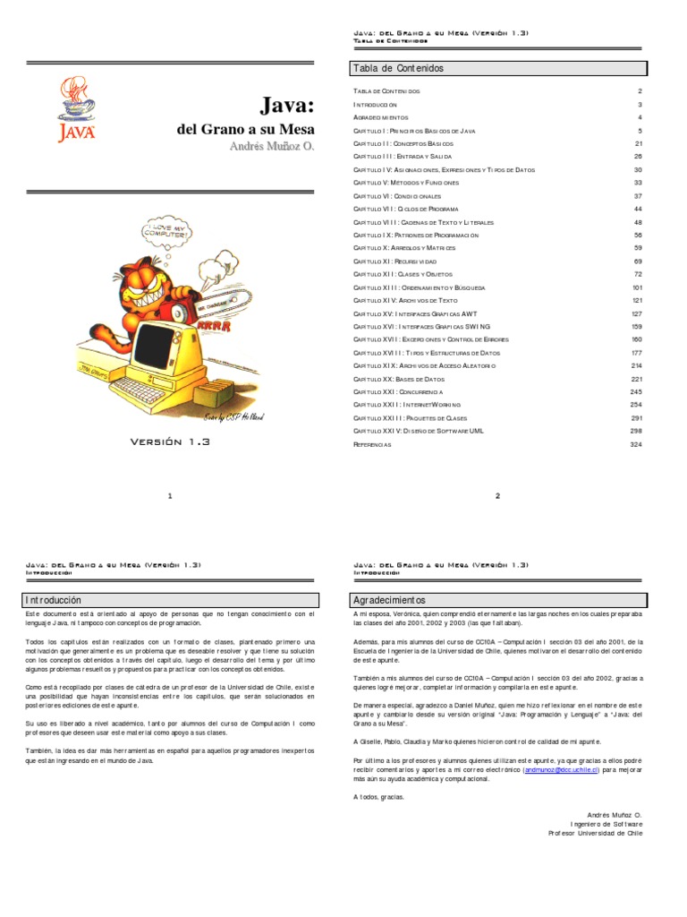 Manual Java | PDF | Java (lenguaje de programación) | Programa de computadora