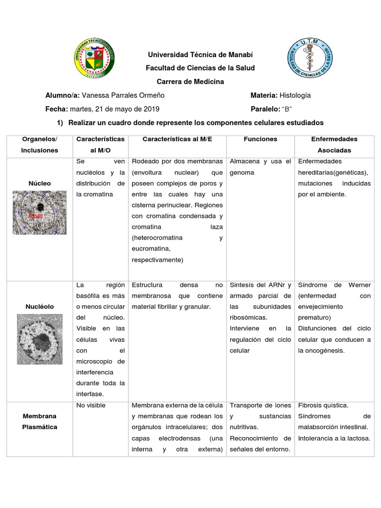 Cuadro comparativo de los principales organelos y estructuras celulares con sus características ...