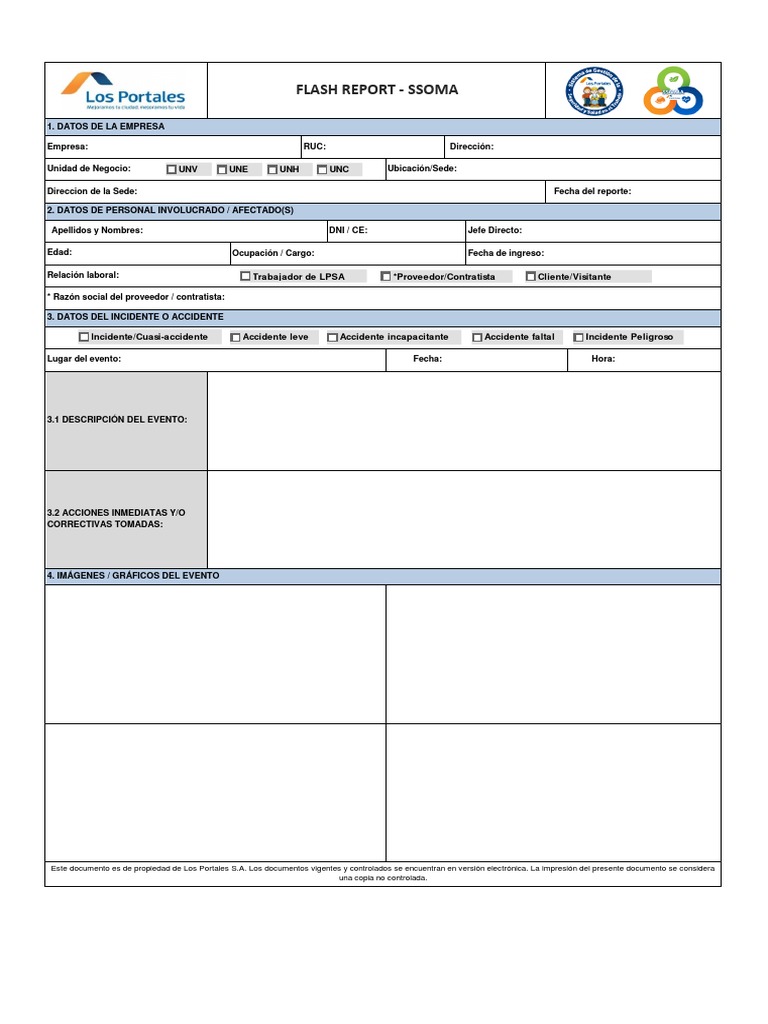 Formato FLASH Report | PDF