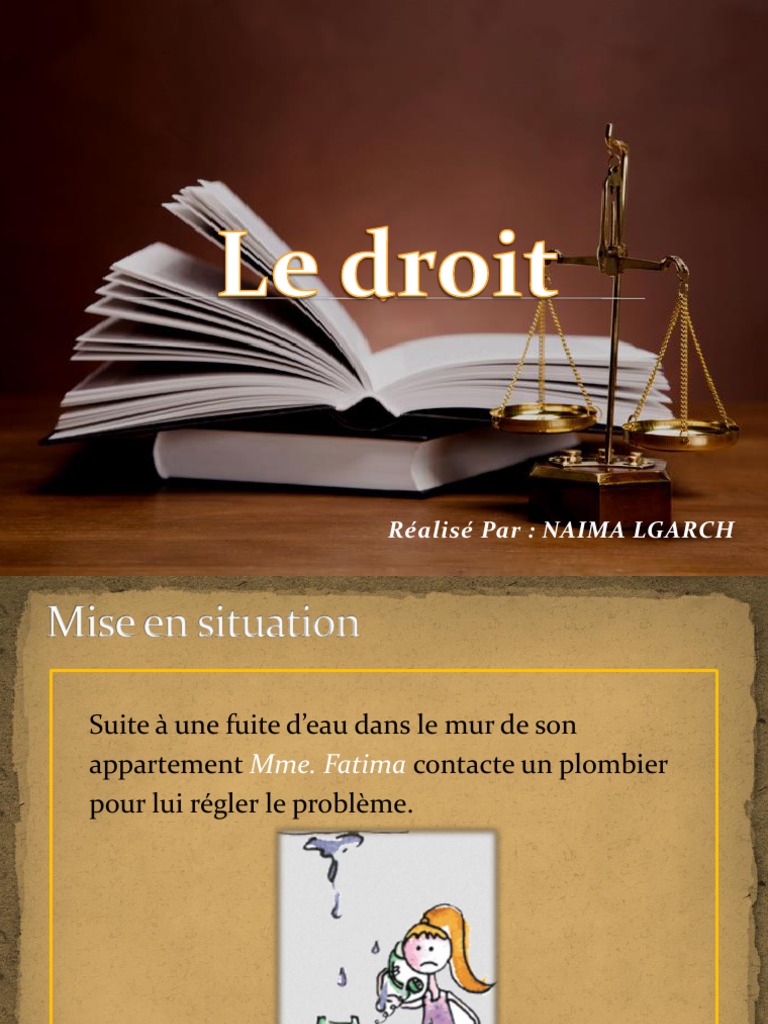 Définition Simplifiée de La Notion Droit | PDF