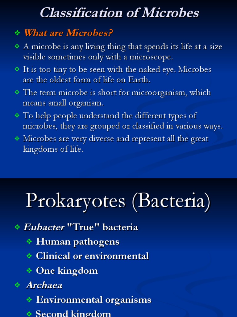 Microbe Classification Guide | PDF | Microorganism | Gram Positive Bacteria