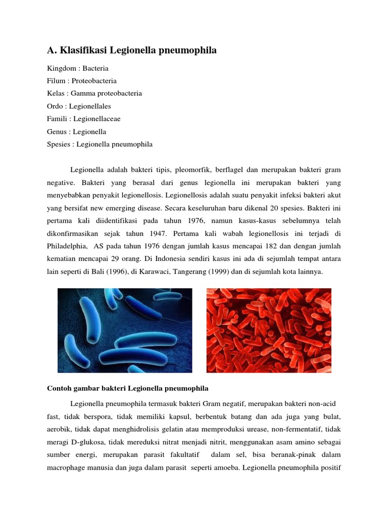 Biologi Legionella Akhir | PDF