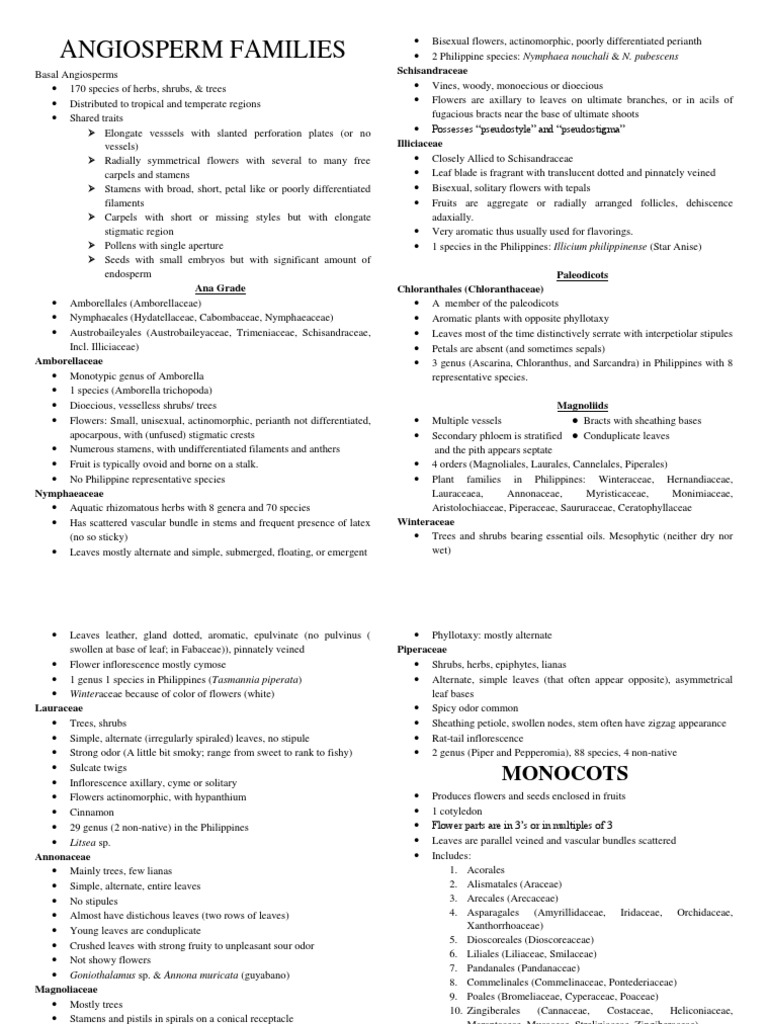 Angiosperm Families | PDF | Leaf | Branches Of Botany