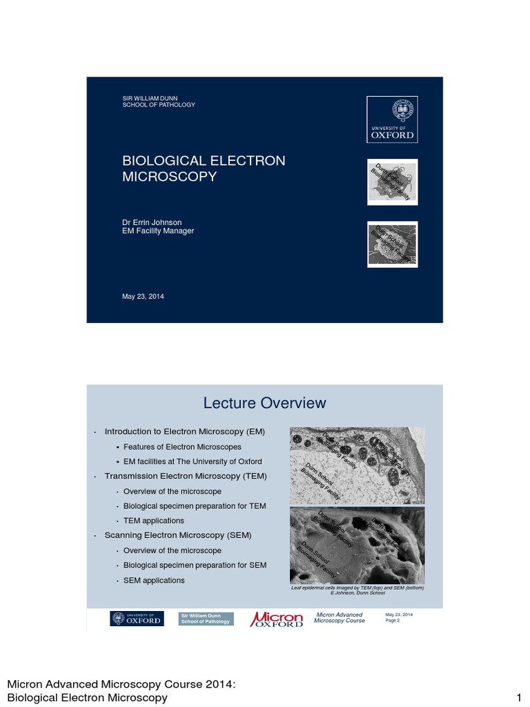 Biological Electron Microscopy: Lecture Overview | PDF | Electron ...
