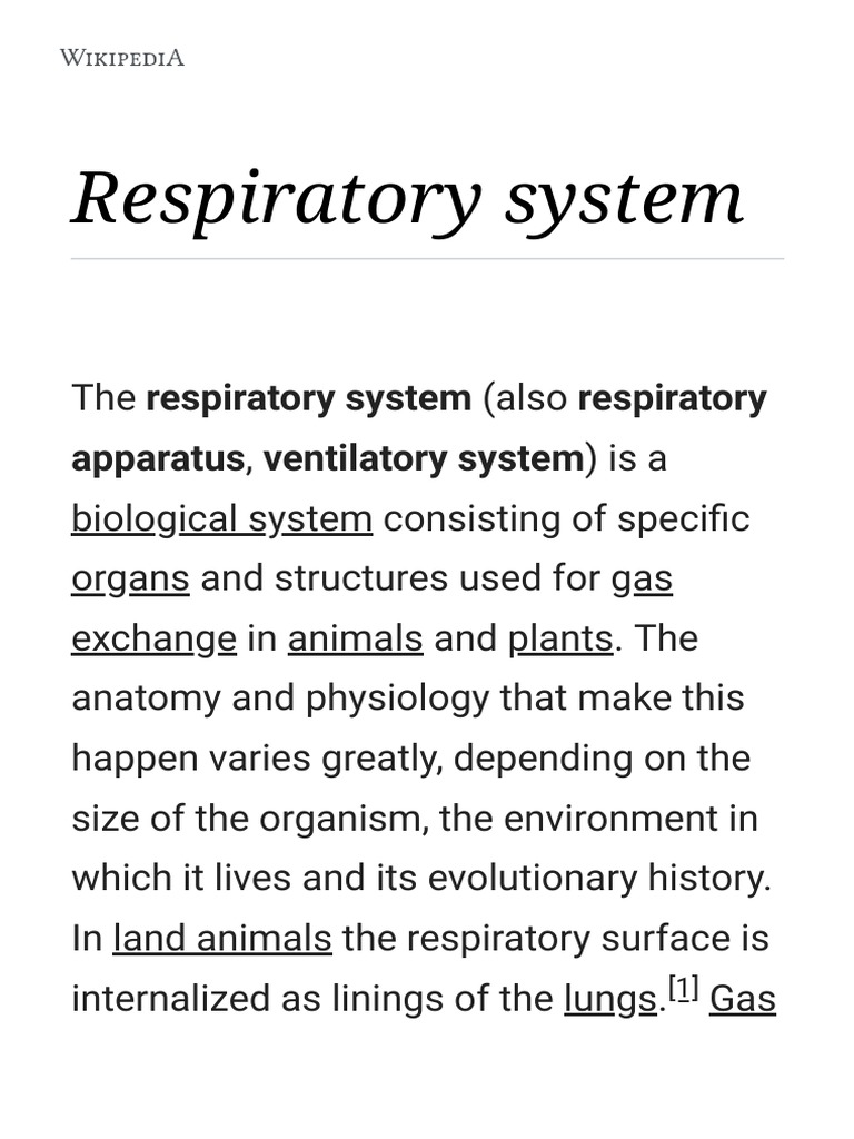 Respiratory System | PDF | Respiratory System | Respiratory Tract