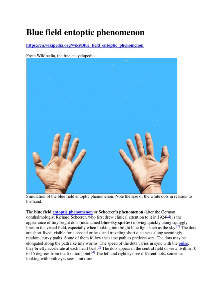 Understanding Blue Field Entoptic Phenomenon | PDF | Light | Vision