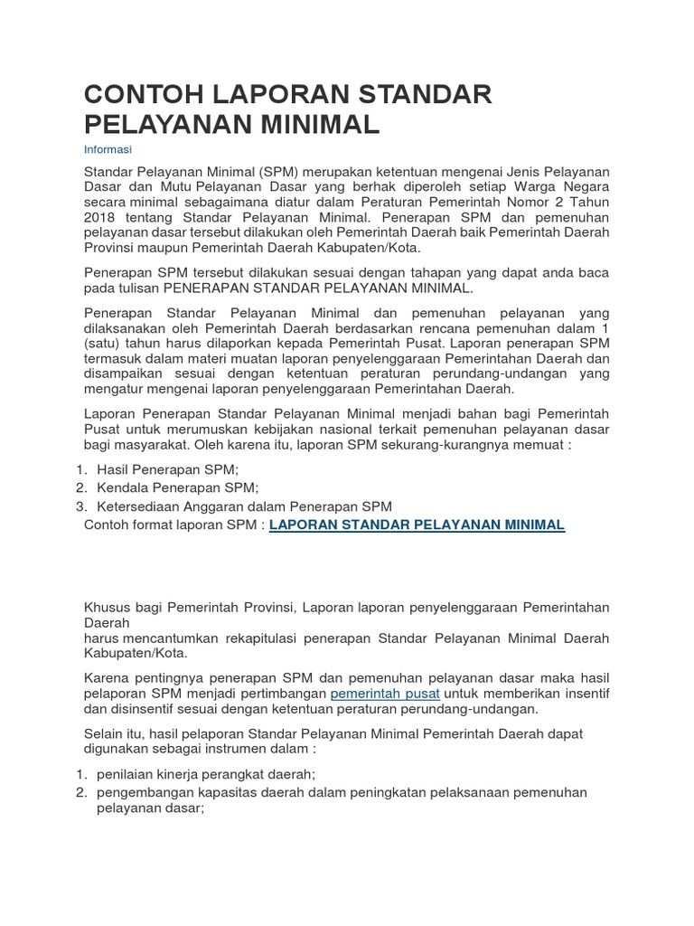 Contoh Laporan Standar Pelayanan Minimal | PDF
