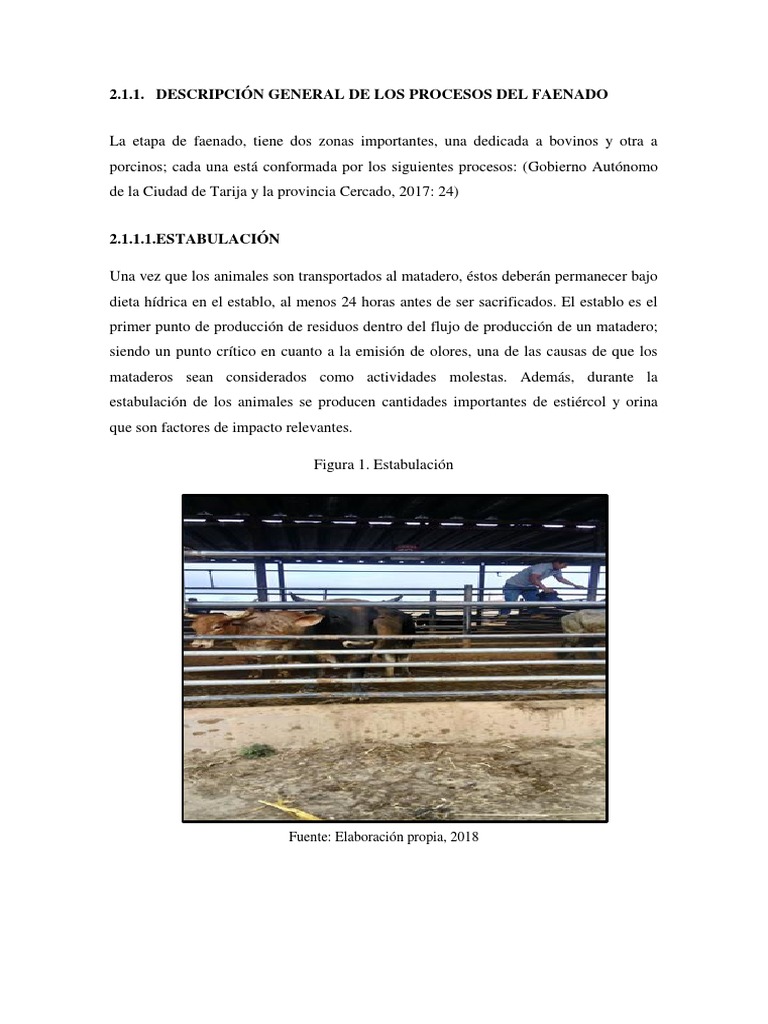 Descripción General de Los Procesos Del Faenado | PDF | Matadero | Vacas