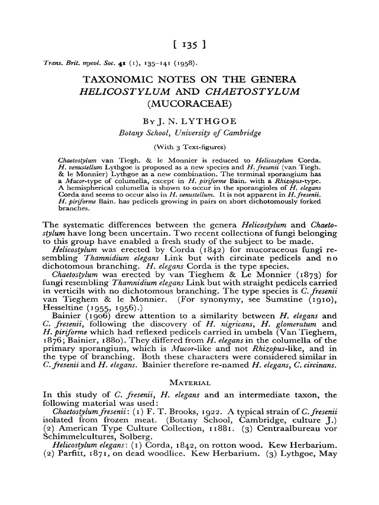 Taxonomic Notes On The Genera Helicostylum and Chaetostylum (Mucoraceae ...