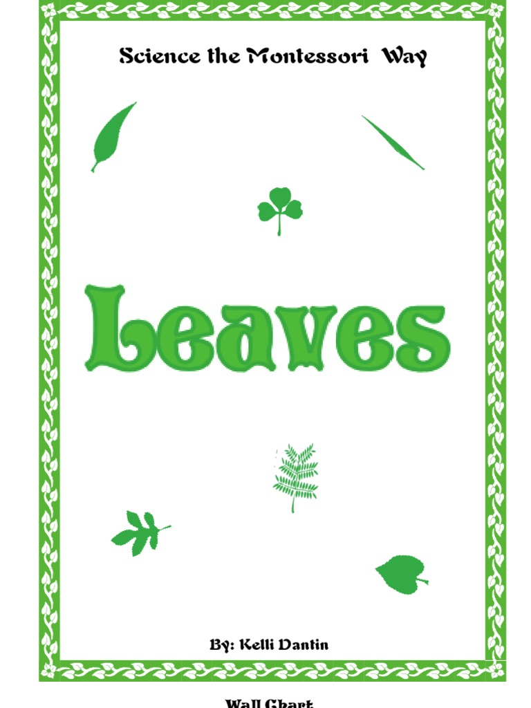 Leaves | PDF | Branches Of Botany | Plants