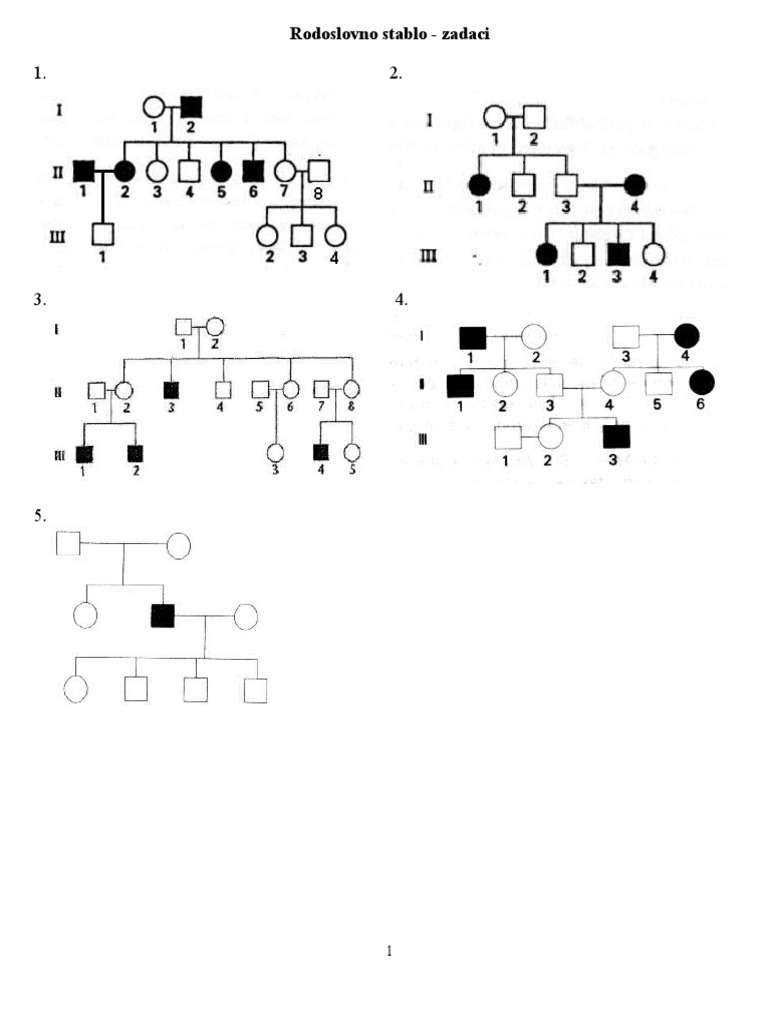 Rodoslovno Stablo-Zadaci Sa Rjesenjima | PDF