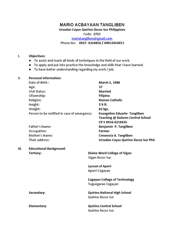 Mario Resume | Download Free PDF | Engineering